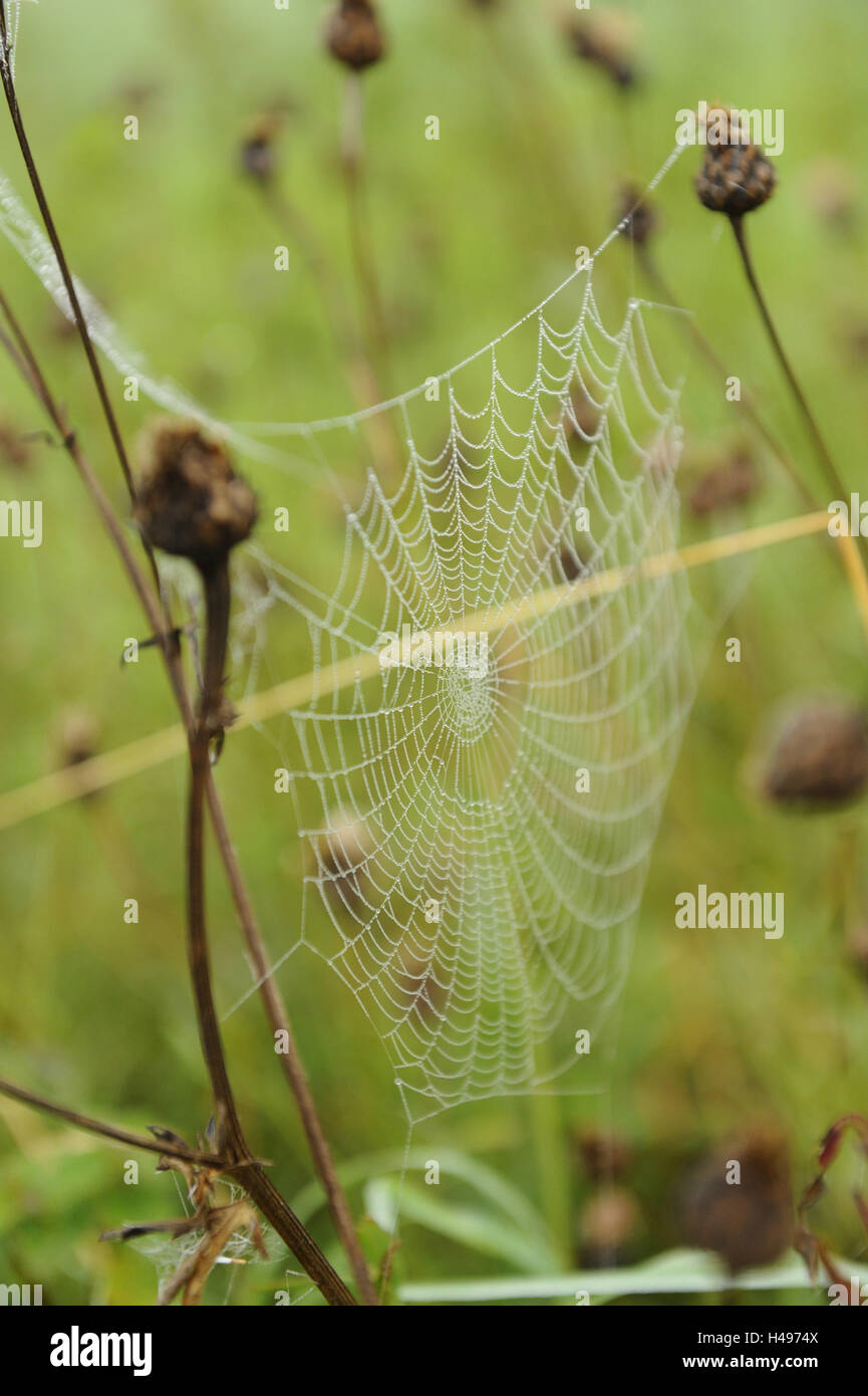 Web sample hi-res stock photography and images - Alamy