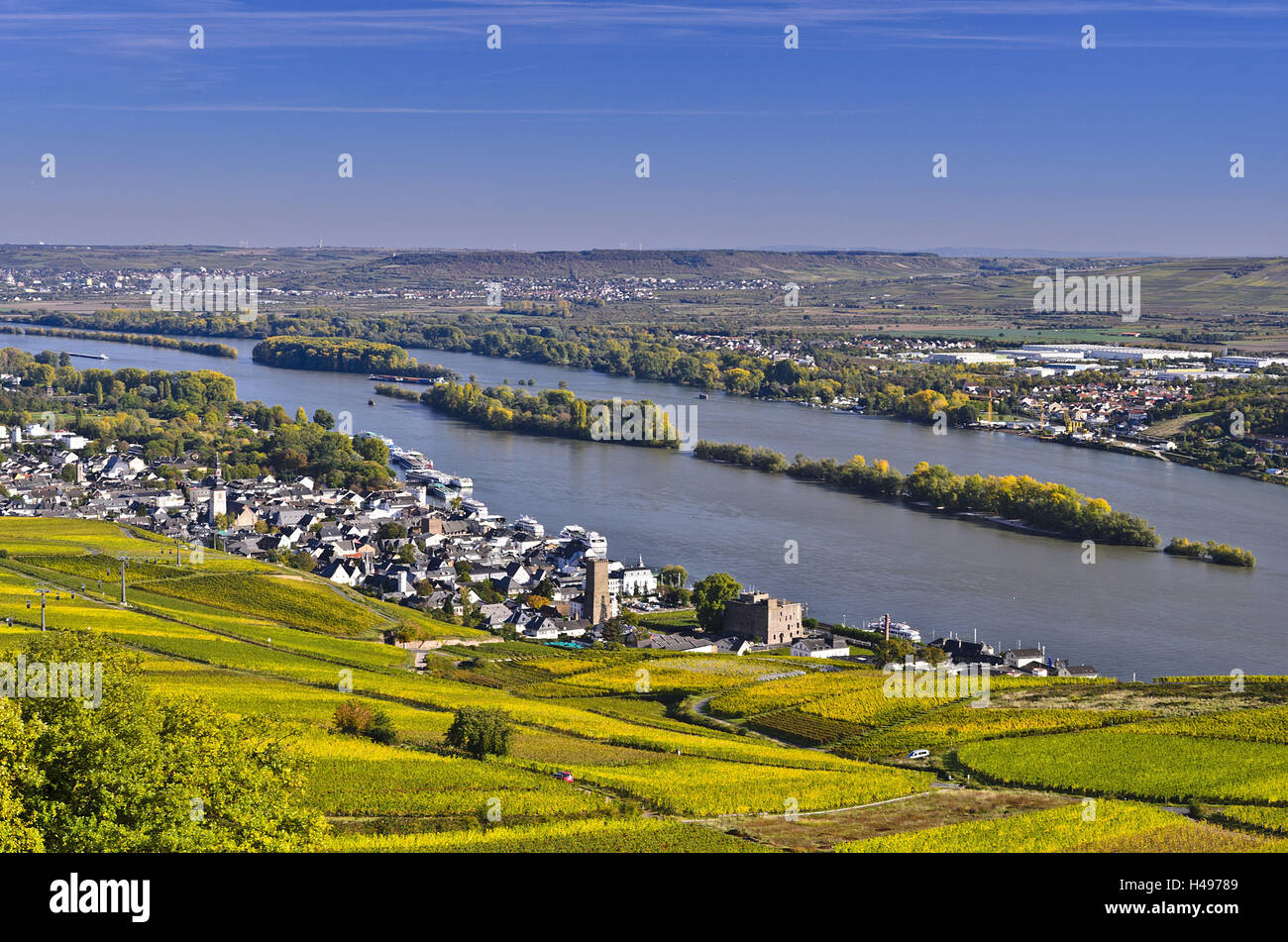 Germany, Hesse, Rheingau (region), Rüdesheim am Rhein (town), view from ...