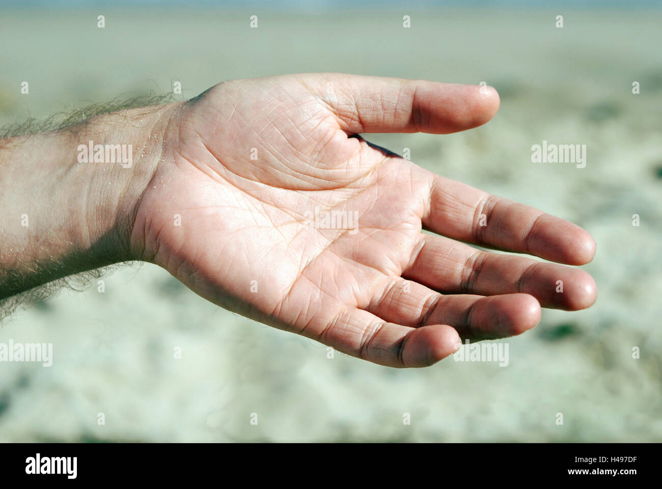 Hand, opened, manly, stretch, hold out, man's hand, detain, palm, lines ...