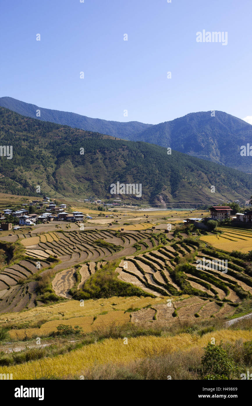 Kingdom of Bhutan, landscape in the Phobjikha Valley Stock Photo - Alamy