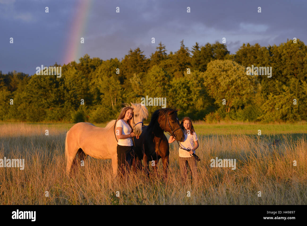 Girls, horses, meadow, stand, view camera, scenery Stock Photo - Alamy
