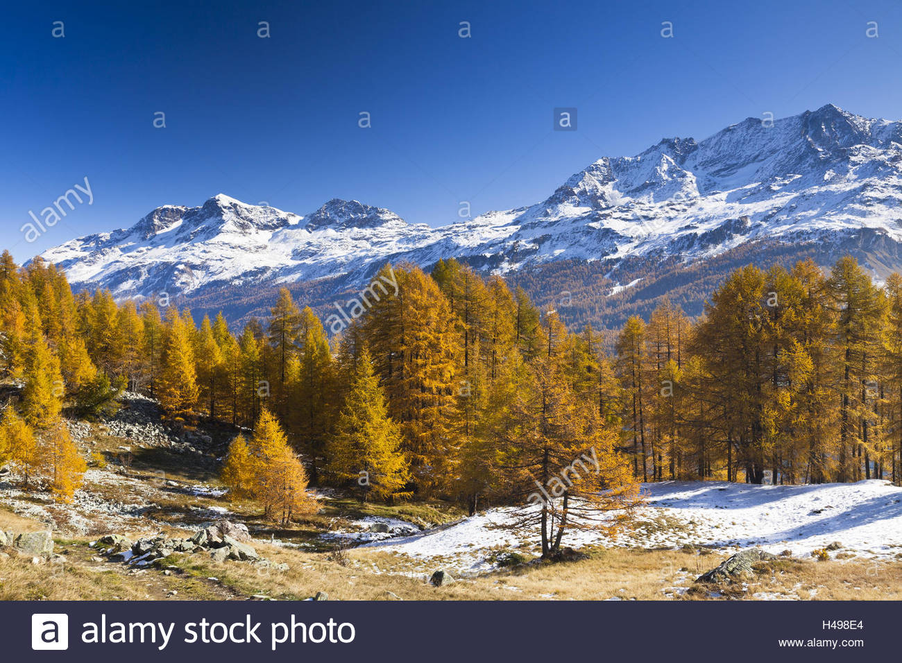 Sils Maria Mountains High Resolution Stock Photography and Images - Alamy