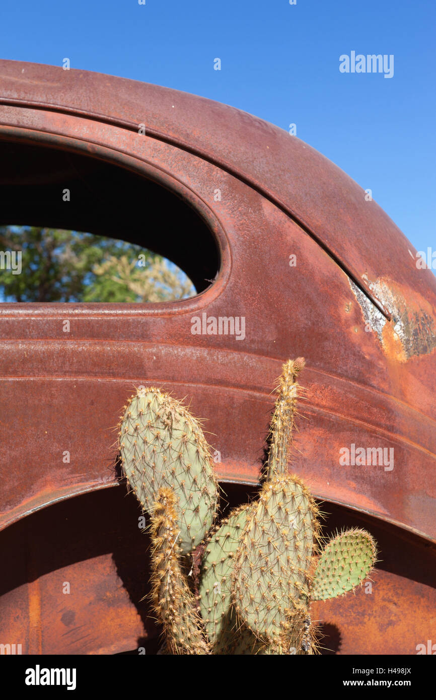 USA, Arizona, Route 66, rusty car body, cactus Stock Photo - Alamy