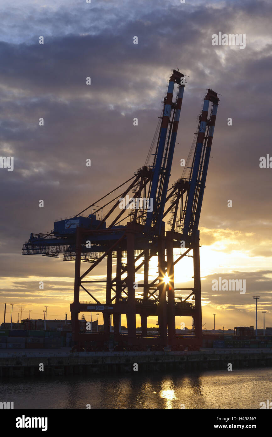 Hamburg, container terminal, harbour cranes Stock Photo - Alamy