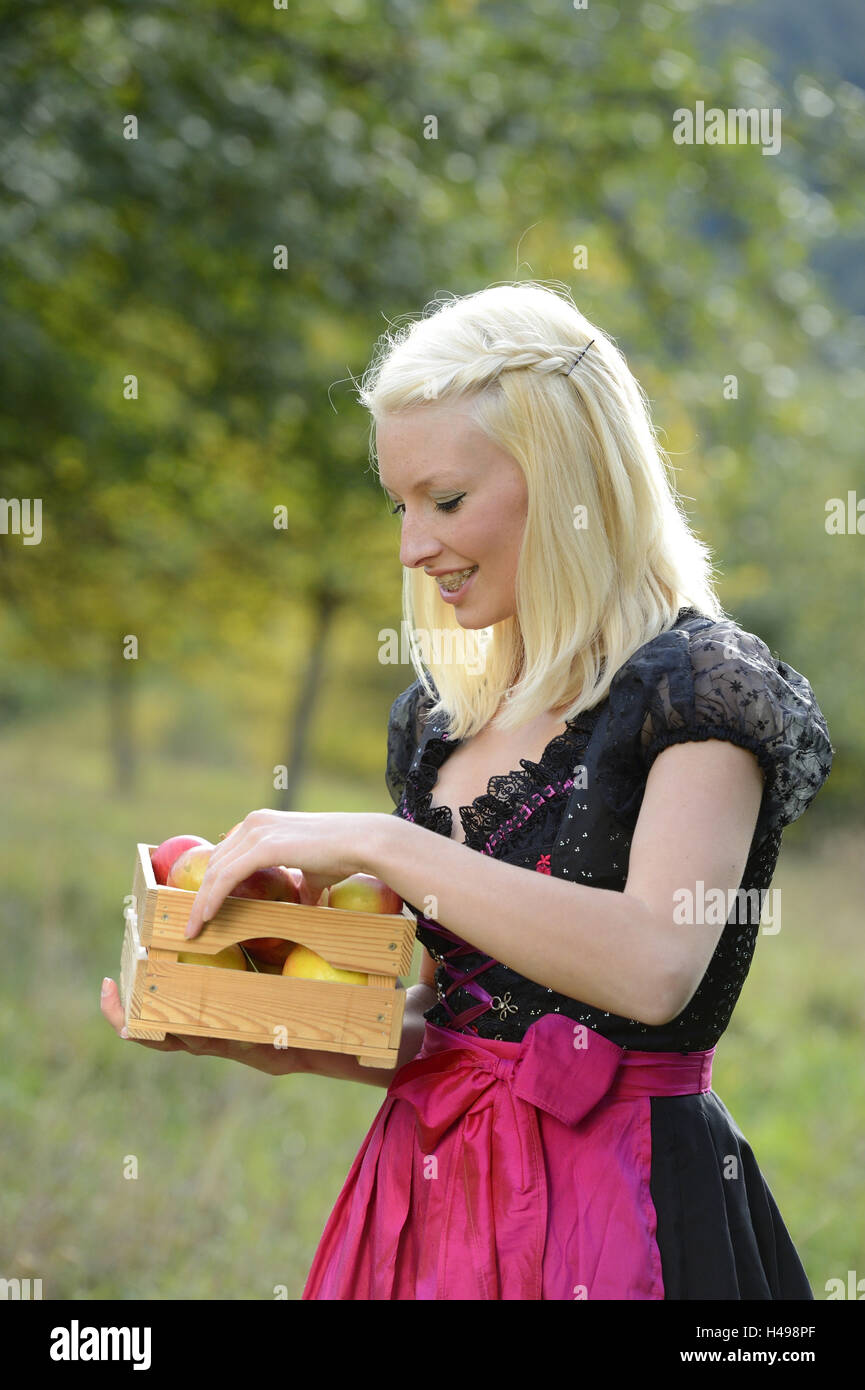 Young apple trees stand hi-res stock photography and images - Alamy