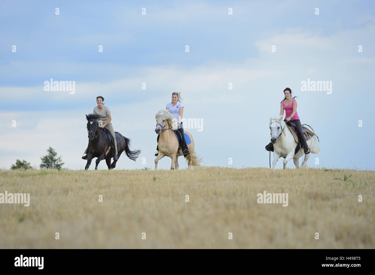 Riders, horses, field, frontal, riding, looking at camera Stock Photo ...