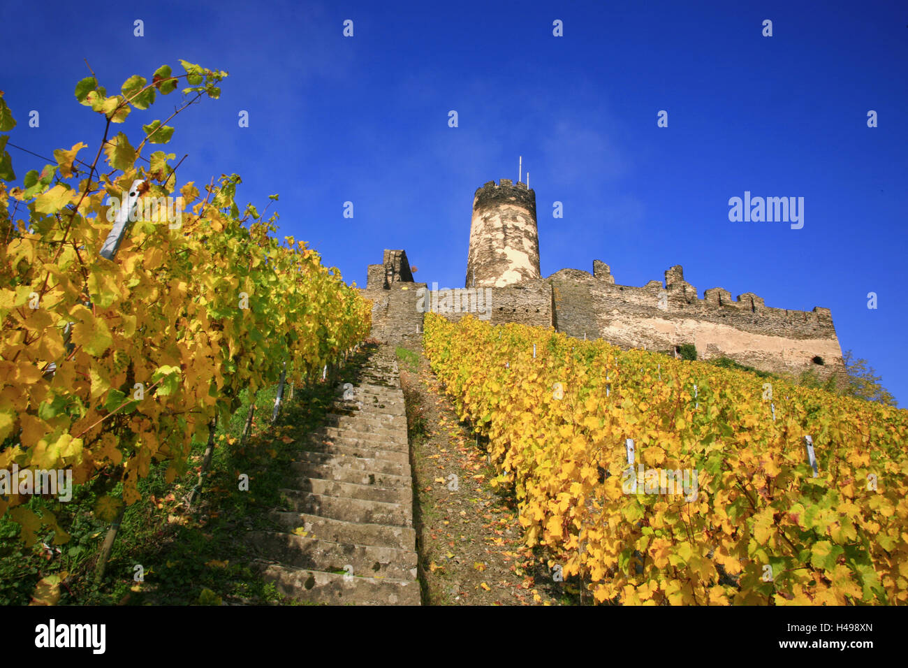 Ruin Fürstenberg castle above the town Rheindiebach in the midst of ...