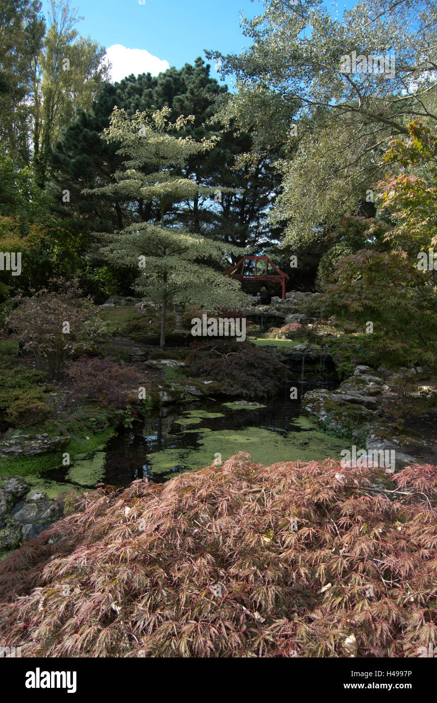 The botanic gardens at samares manor hi-res stock photography and ...
