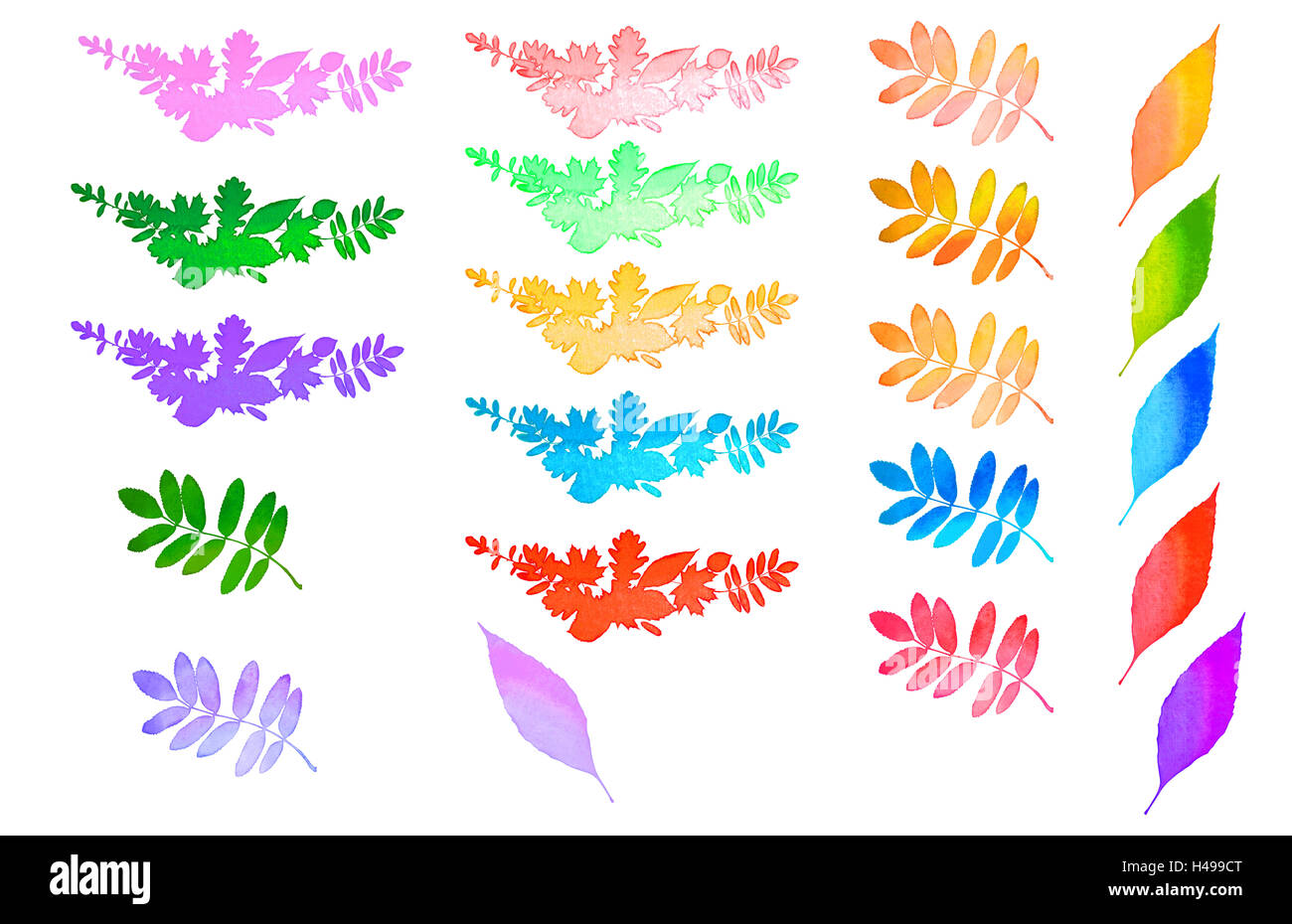 Welcome Autumn Watercolor Collection handmade autumn leaves and flowers ...