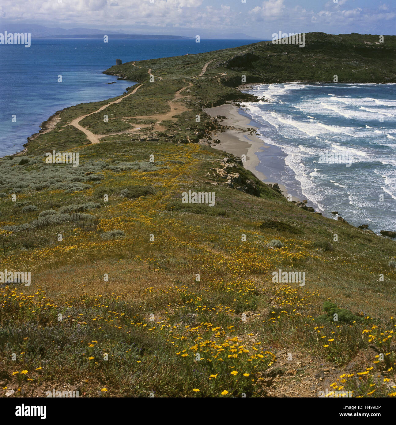 Italy, island Sardinia, Sinis peninsula, cape San Marco, coastal ...