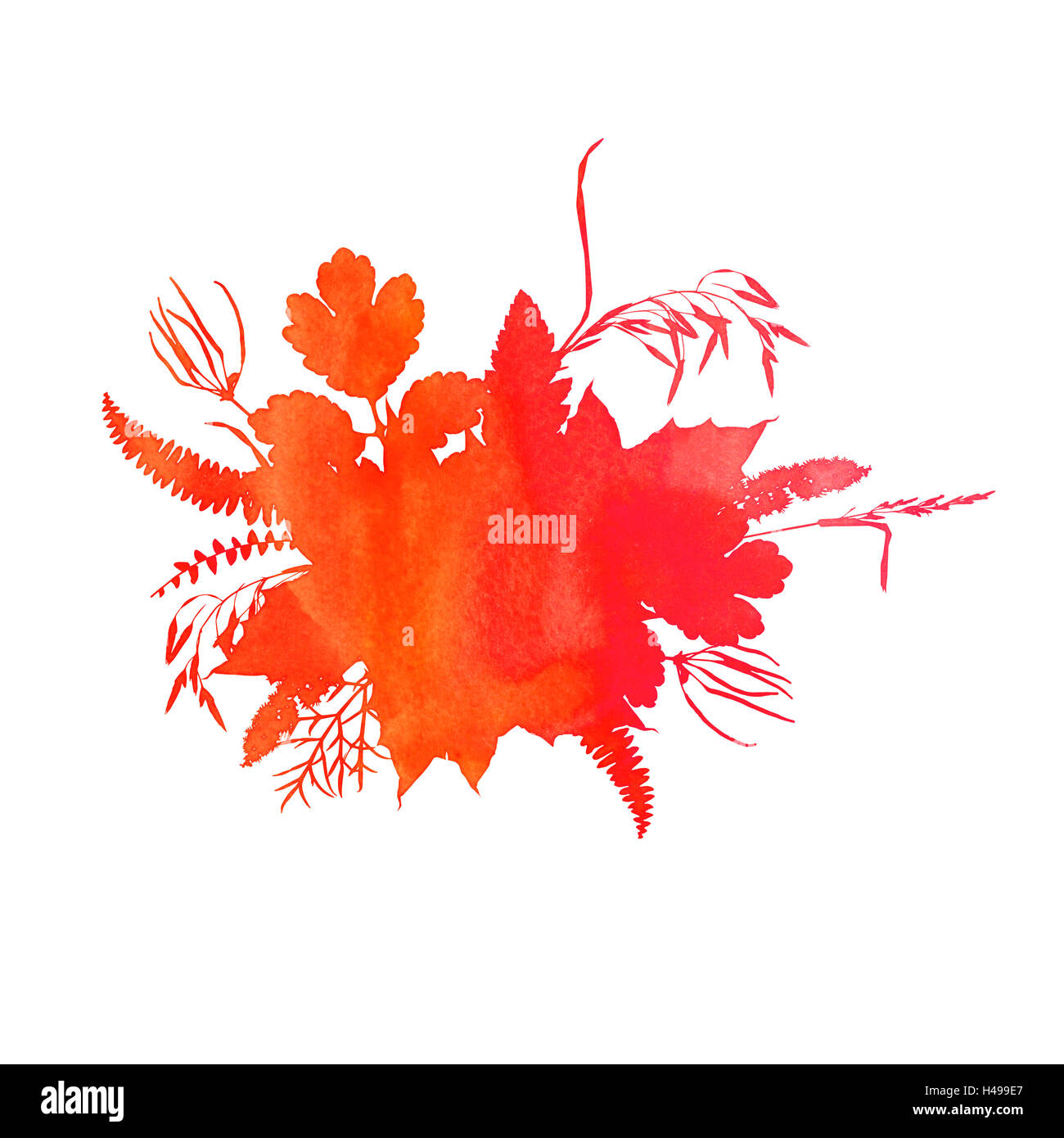 Welcome Autumn Watercolor Collection handmade autumn leaves and flowers ...