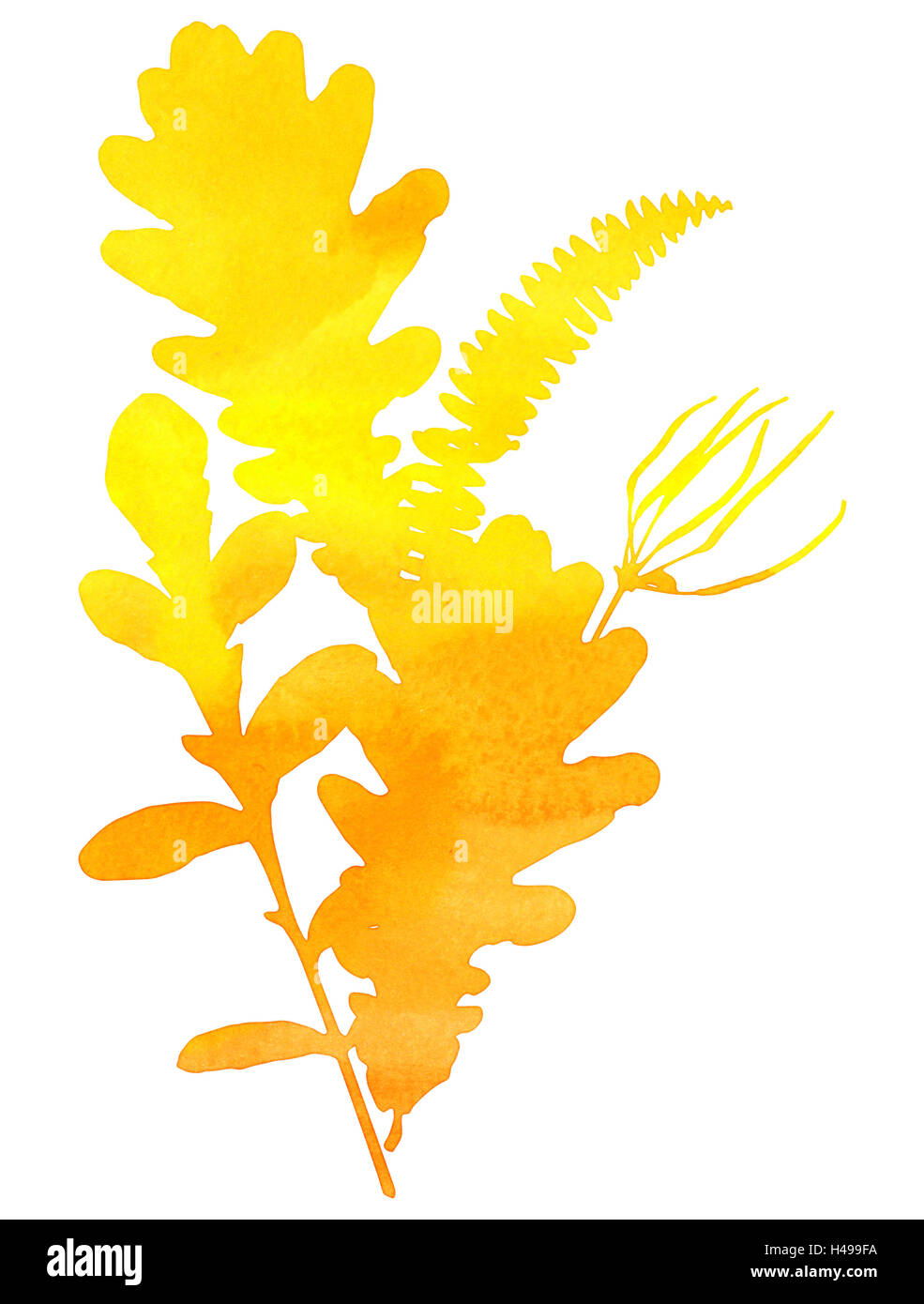 Watercolor fall leaves clip art hi-res stock photography and images - Alamy