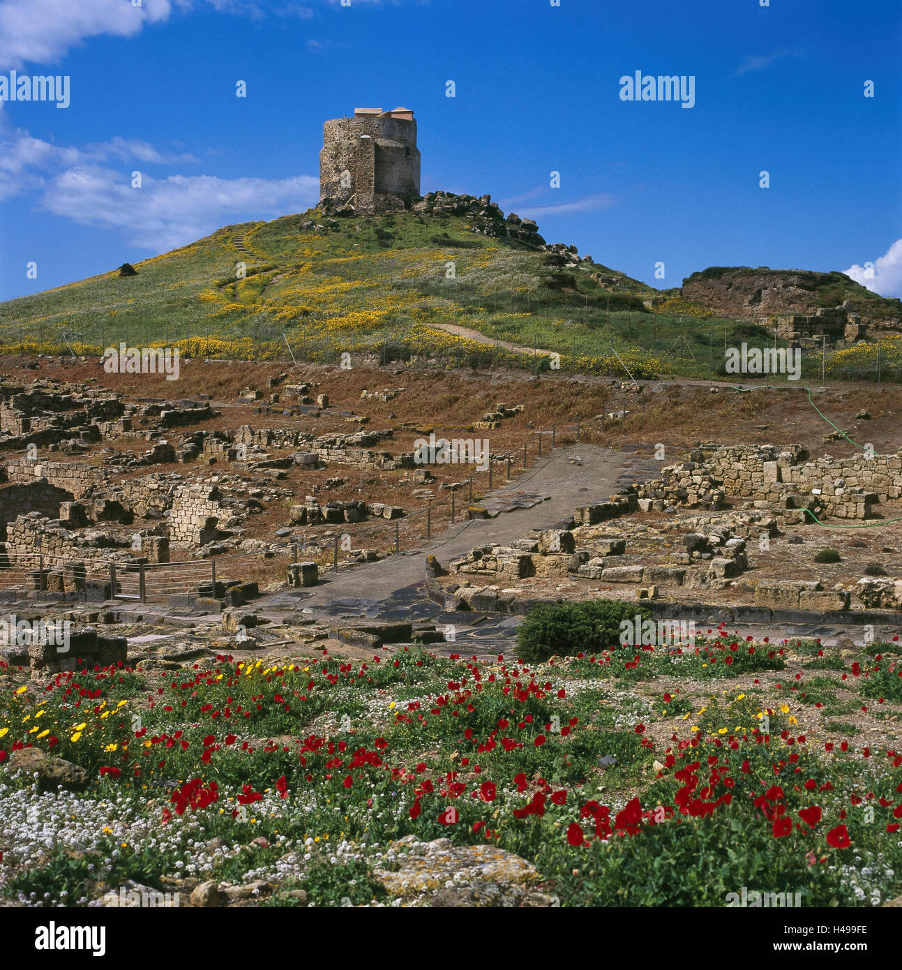 Overview of the site of tharros hi-res stock photography and images - Alamy