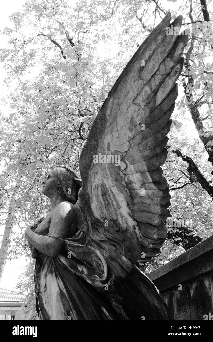 grave yard, grave, statue, angels, sidewards, s/w Stock Photo - Alamy