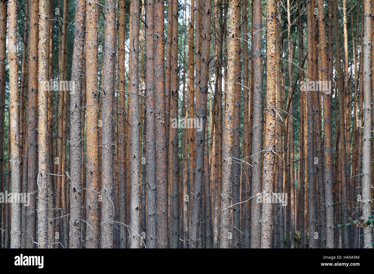 Poland lubuskie hi-res stock photography and images - Alamy