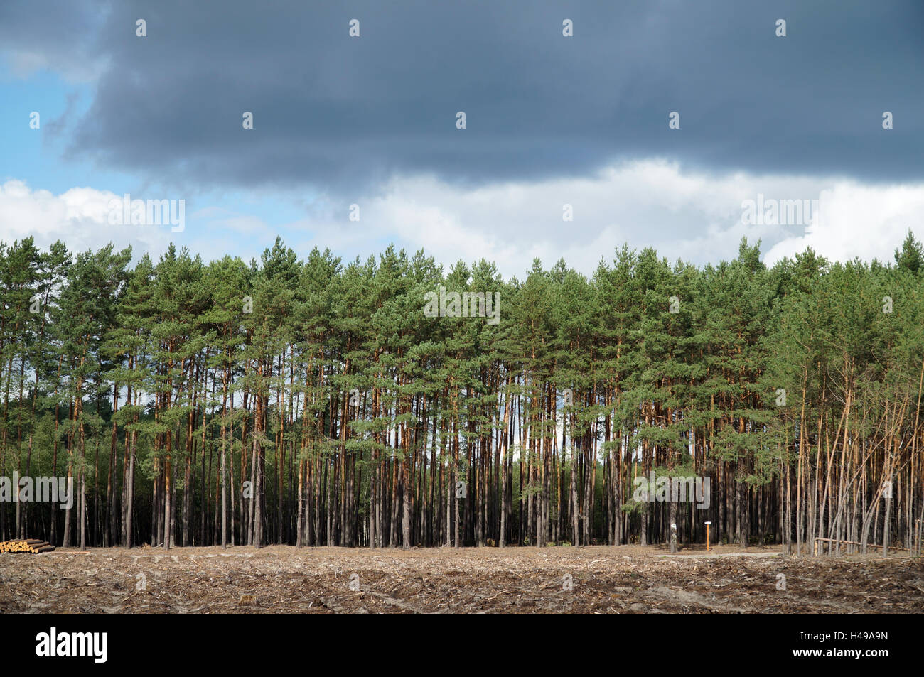 Lubuskie hi-res stock photography and images - Alamy