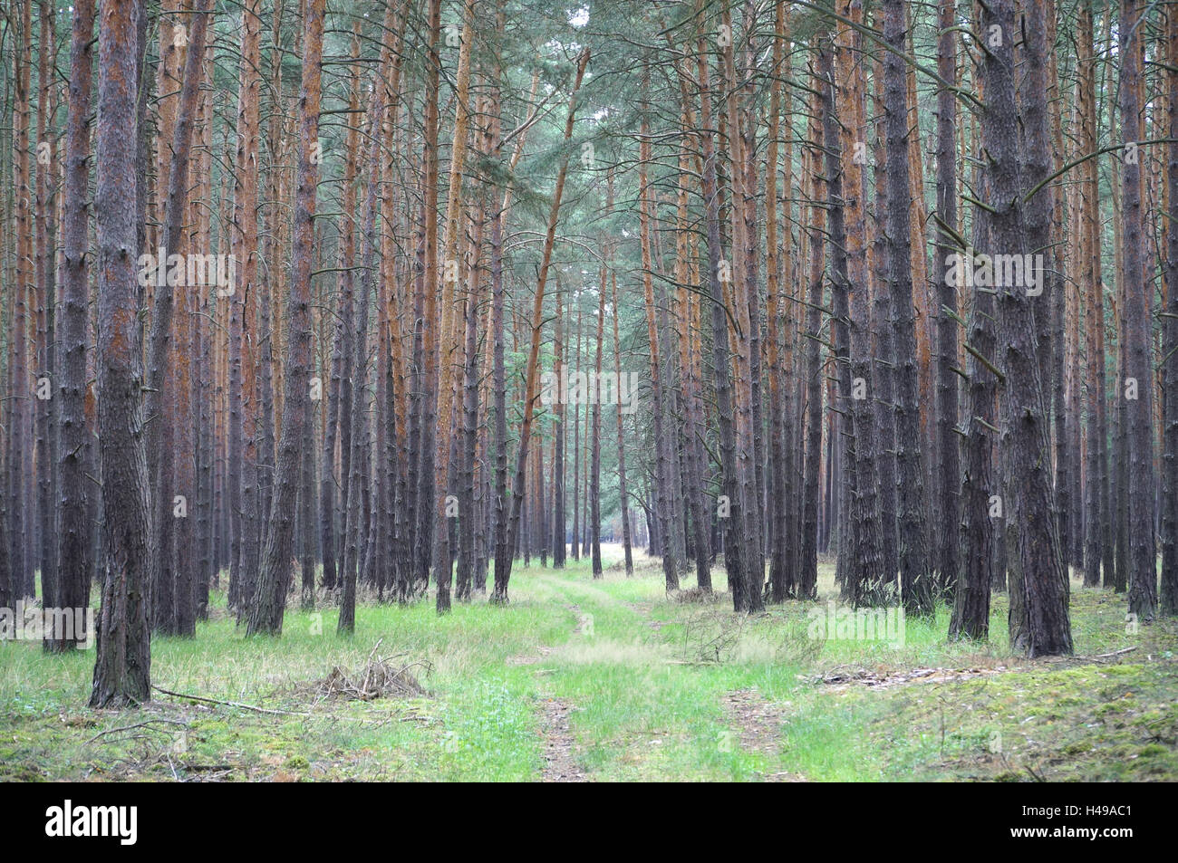 Lubuskie hi-res stock photography and images - Alamy