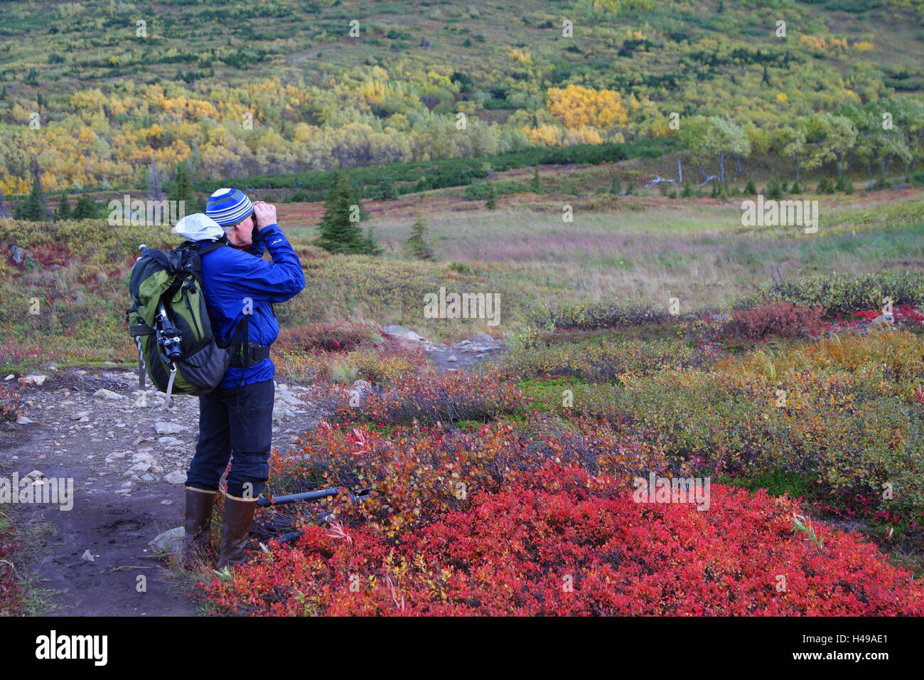 The USA, Alaska, man, scenery, autumn Stock Photo - Alamy