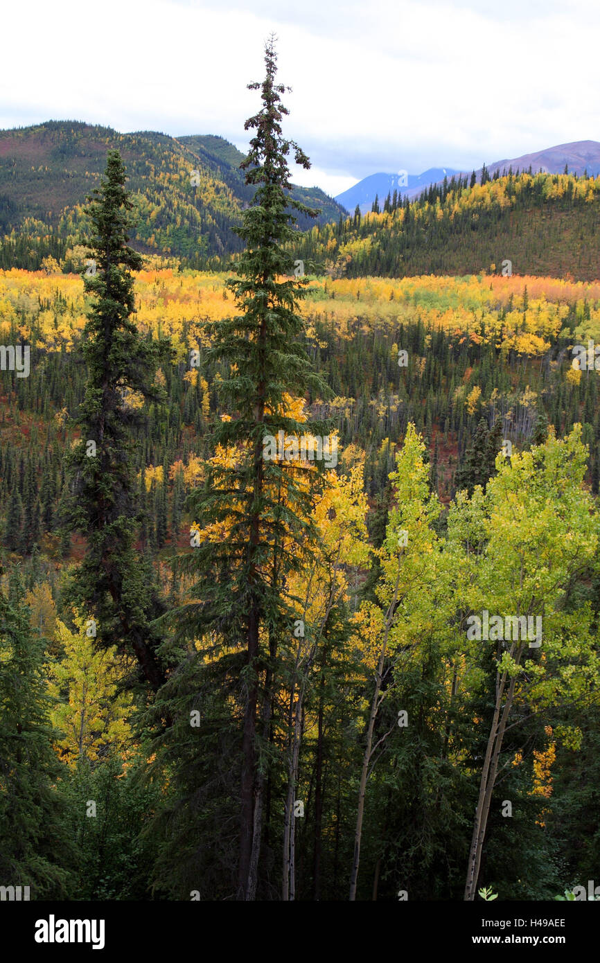 Denali national park autumn hi-res stock photography and images - Alamy
