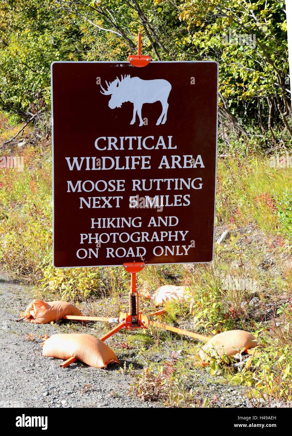 Danger sign wild animals hi-res stock photography and images - Alamy