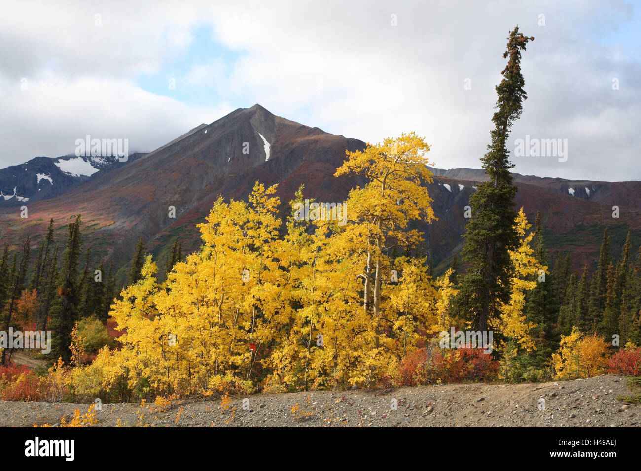 The USA, Alaska, Denali-national park, scenery, nature, autumn Stock ...