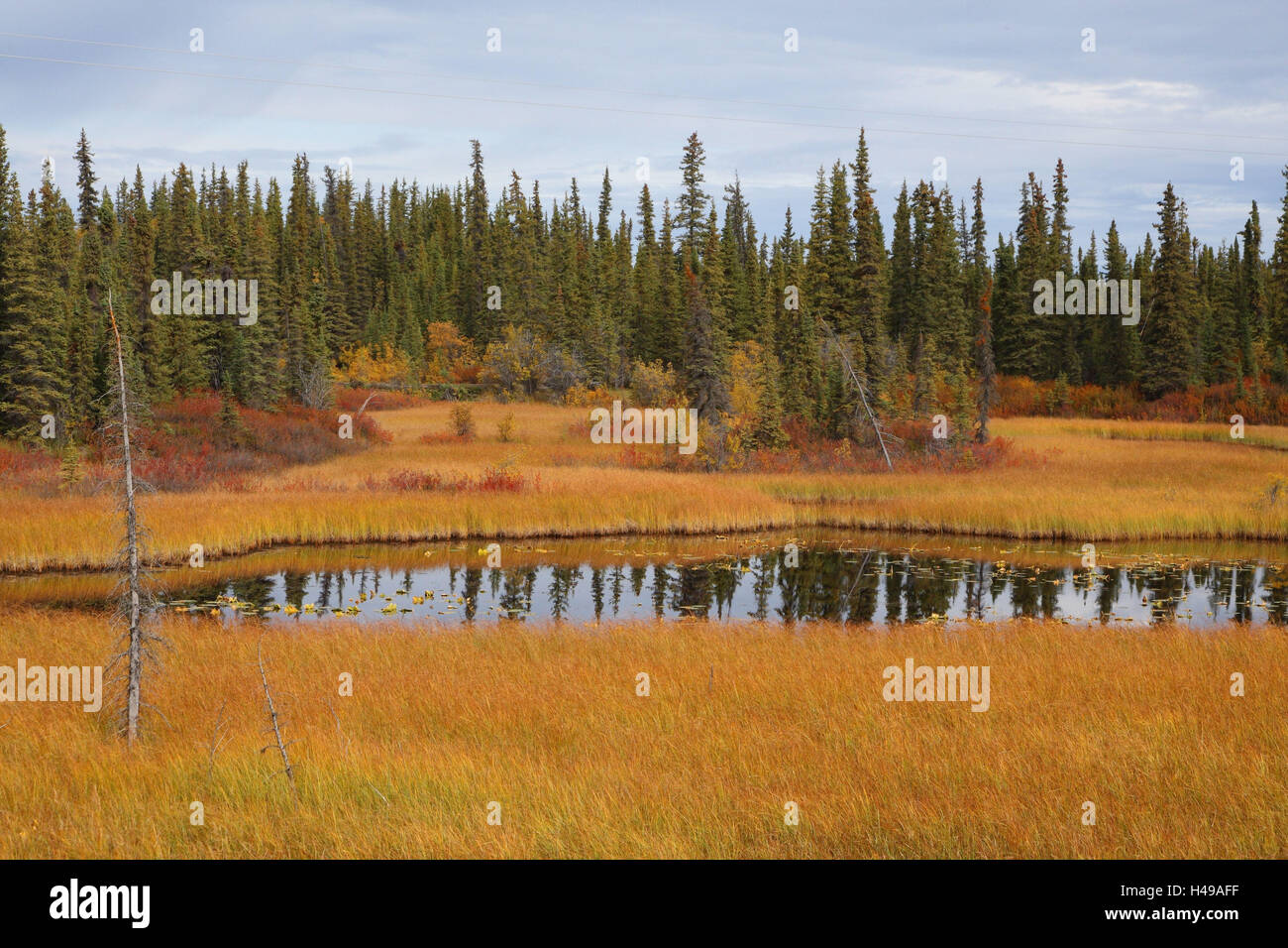 Scenery, nature, lake, water mirroring, autumn, the USA, Alaska Stock ...