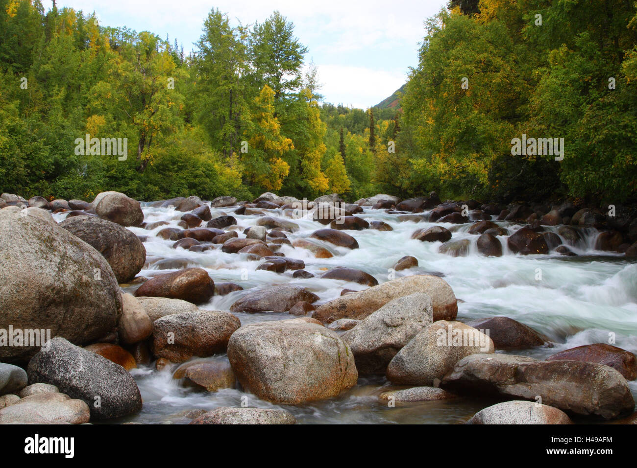 The USA, Alaska, river scenery, trees, autumn Stock Photo - Alamy