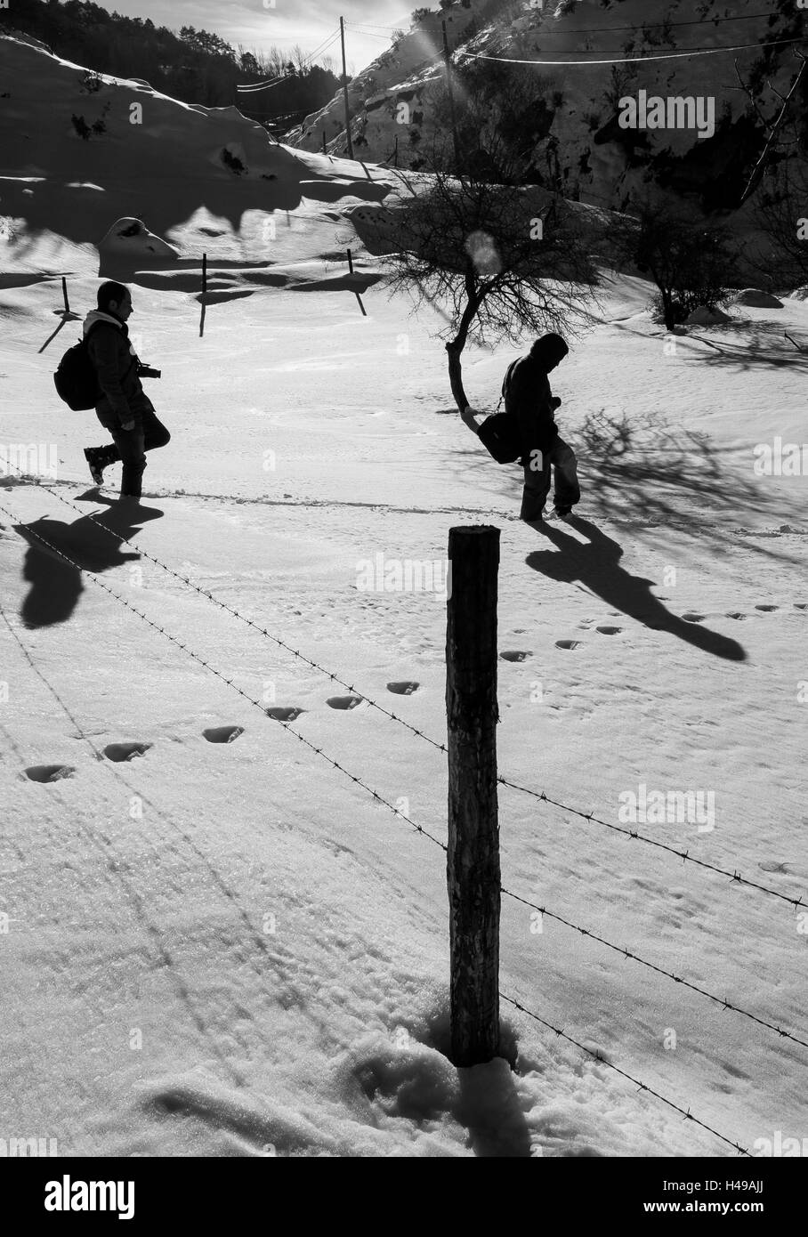 White snow on green Black and White Stock Photos & Images - Alamy