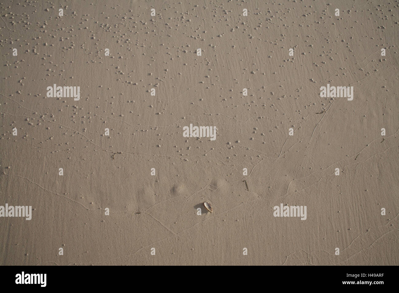 Sandy beach, Sand, detail, surface, structure, sample, tracks, Sand ...