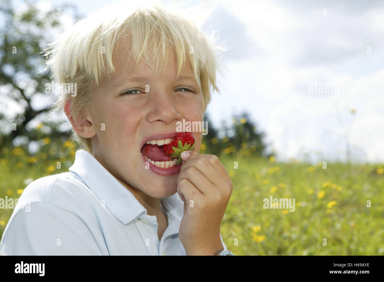 Strawberry blond boy hi-res stock photography and images - Alamy