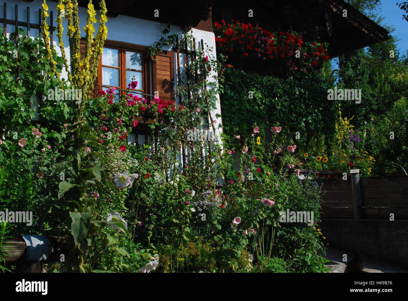 Germany, Upper Bavaria, embankment region, farmhouse, flower-garden ...