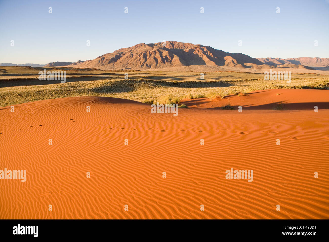 Namib margin nature reserve hi-res stock photography and images - Alamy