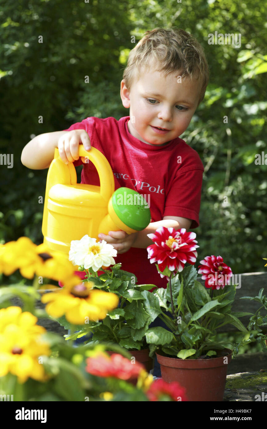Little child, boy while watering flowers Stock Photo - Alamy