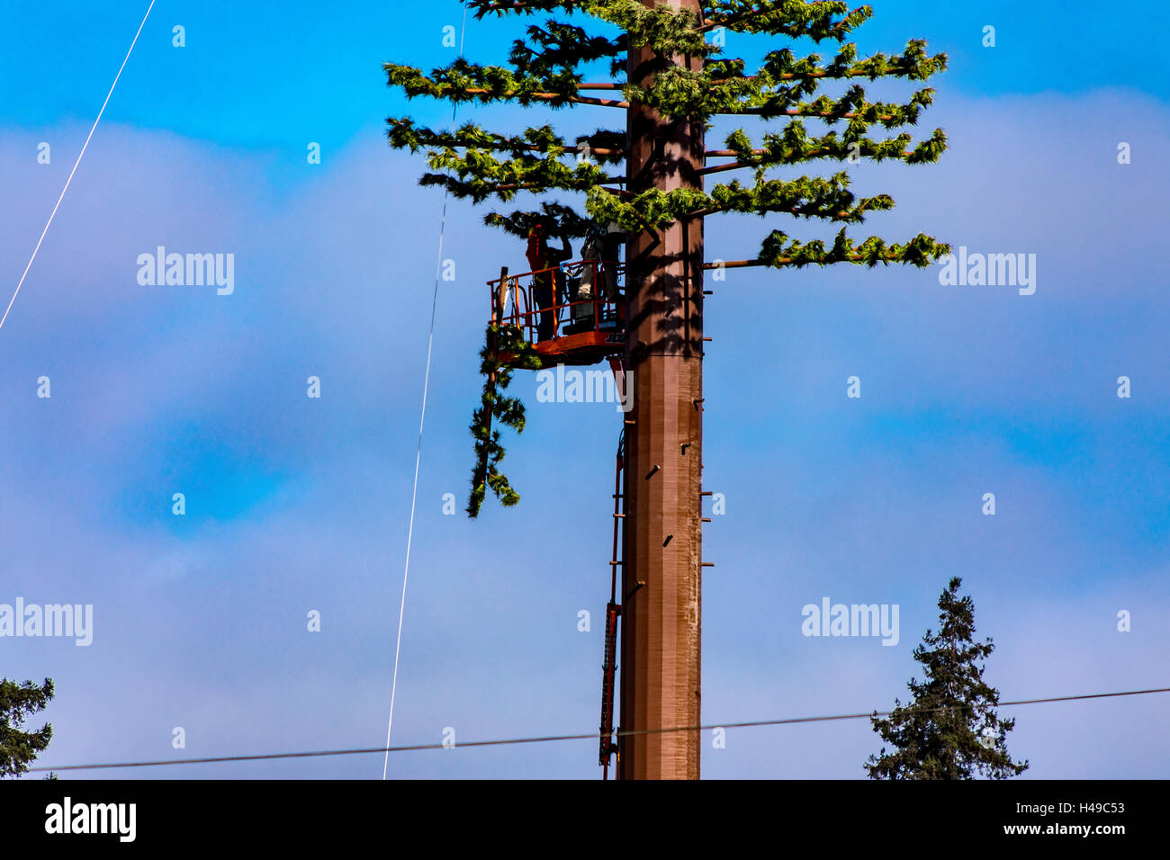 Workman in Napa California assemble a cell or mobile phone tower ...