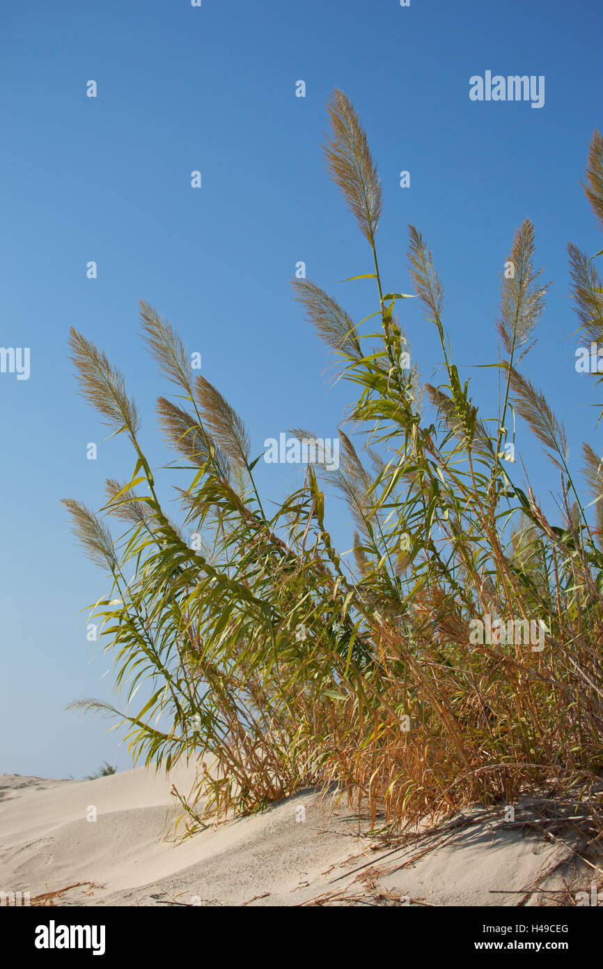 Elafonisi nature reserve hi-res stock photography and images - Alamy