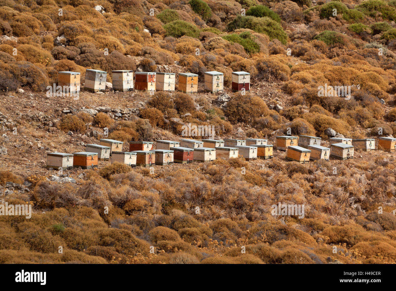 Crete honey beehive hi-res stock photography and images - Alamy