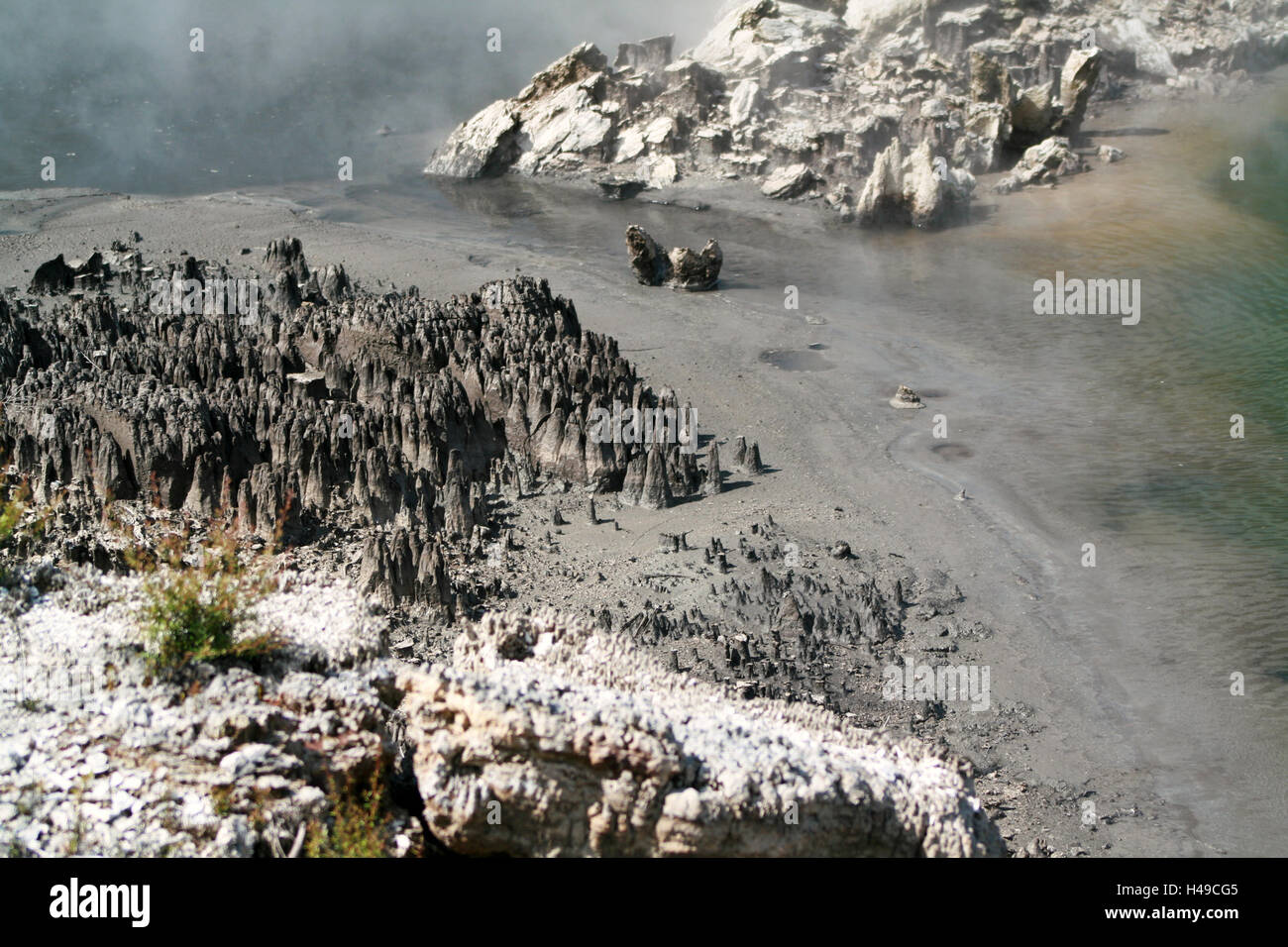 New Zealand, North Island, Rotorua, Whakarewarewa Thermal area Stock ...