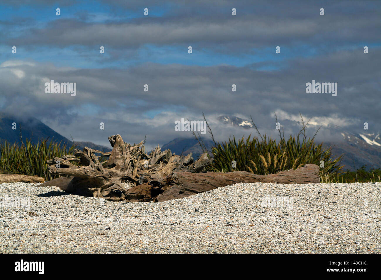 New Zealand, south island, west coast, Haast Beach Stock Photo - Alamy