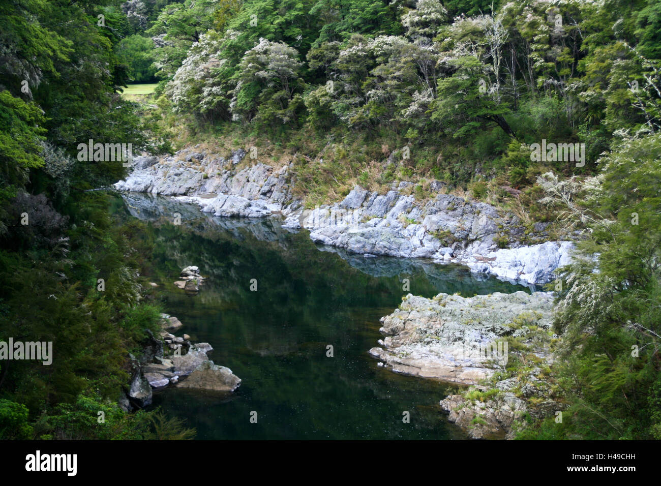 Pelorus bridge hi-res stock photography and images - Alamy