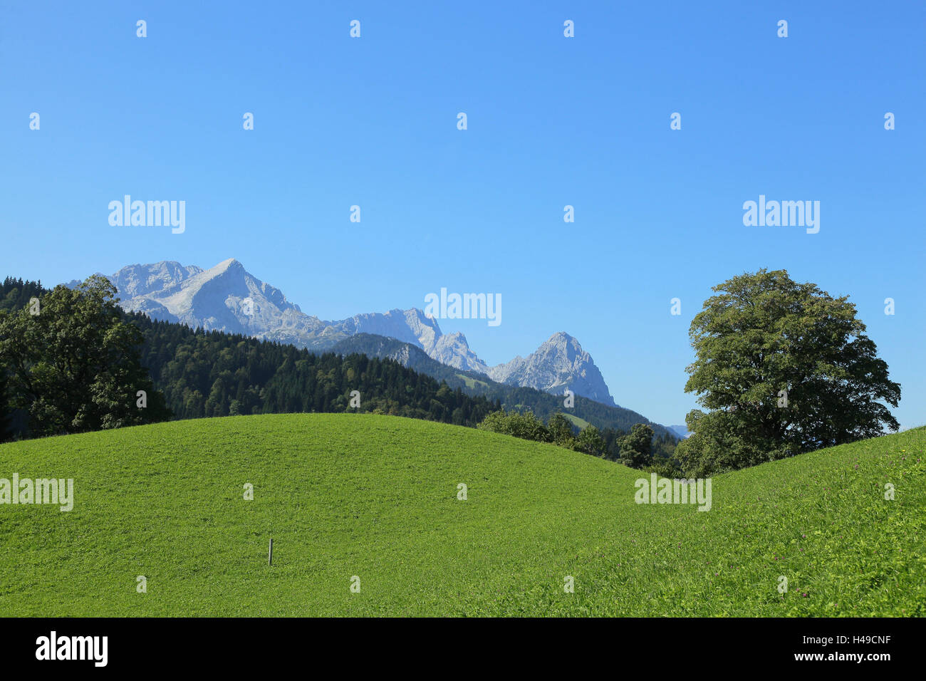 Mountain pasture, Alpspitze, Zugspitze, Germany, Bavaria, Upper Bavaria ...