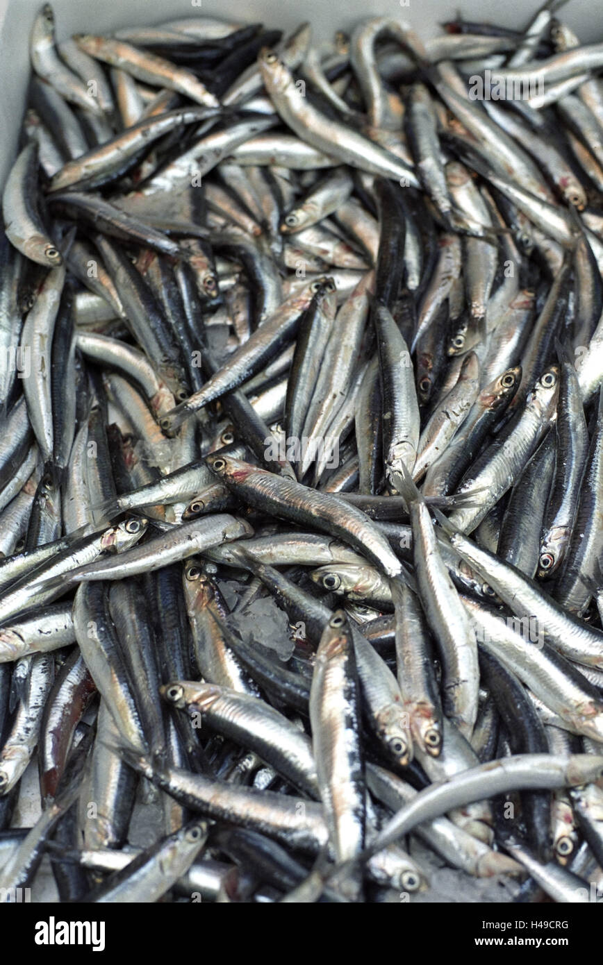 Market, fresh food, fish, anchovy Stock Photo - Alamy