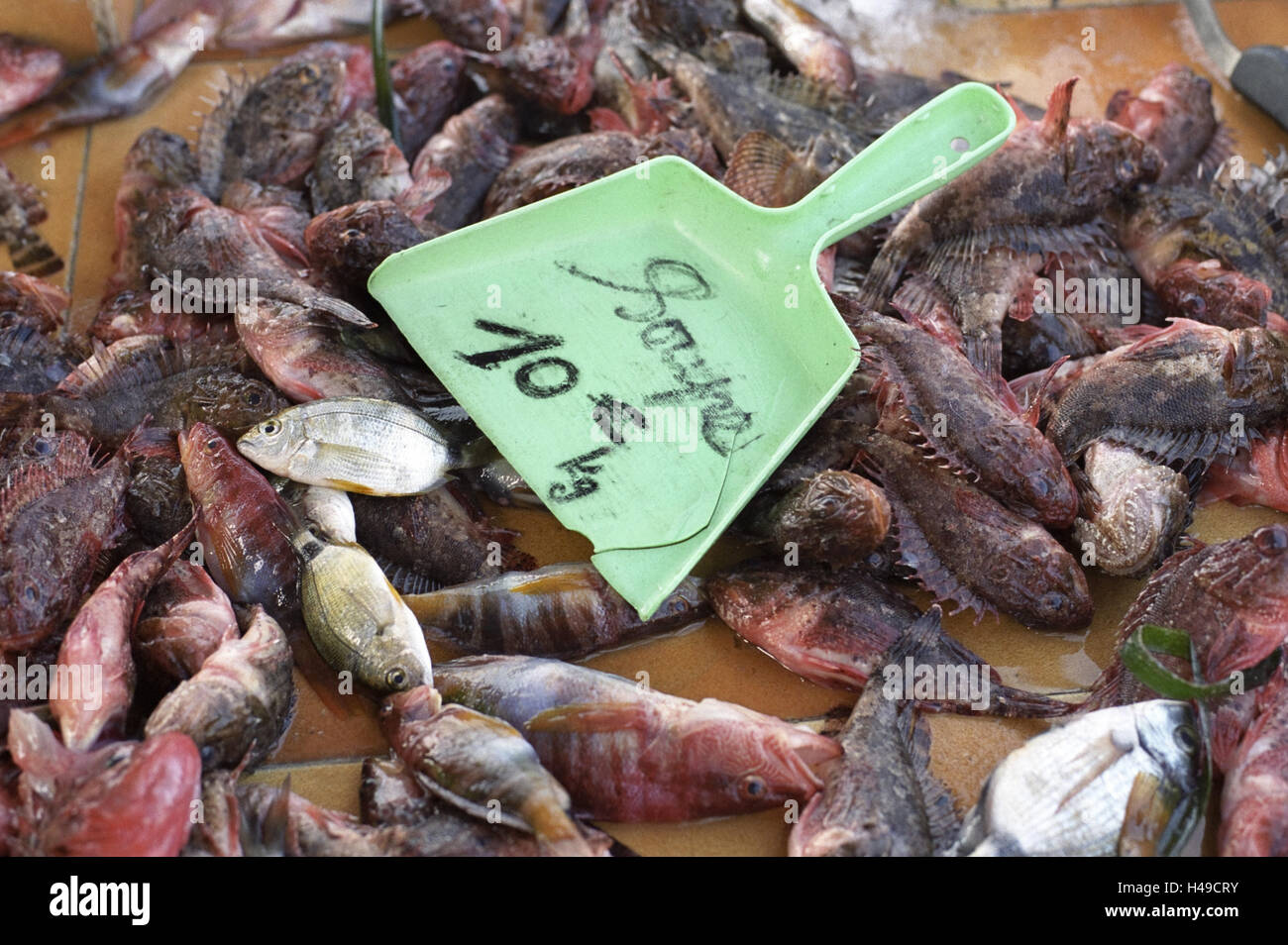 Market, fresh food, fish, offer Stock Photo - Alamy