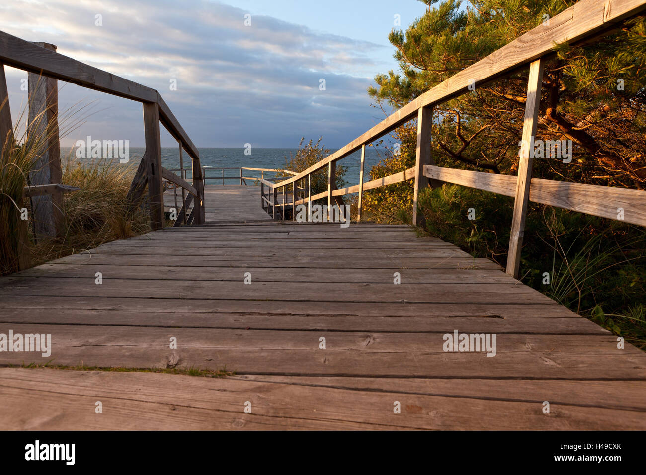 The Baltic Sea, Rügen, north beach, lookout Stock Photo - Alamy