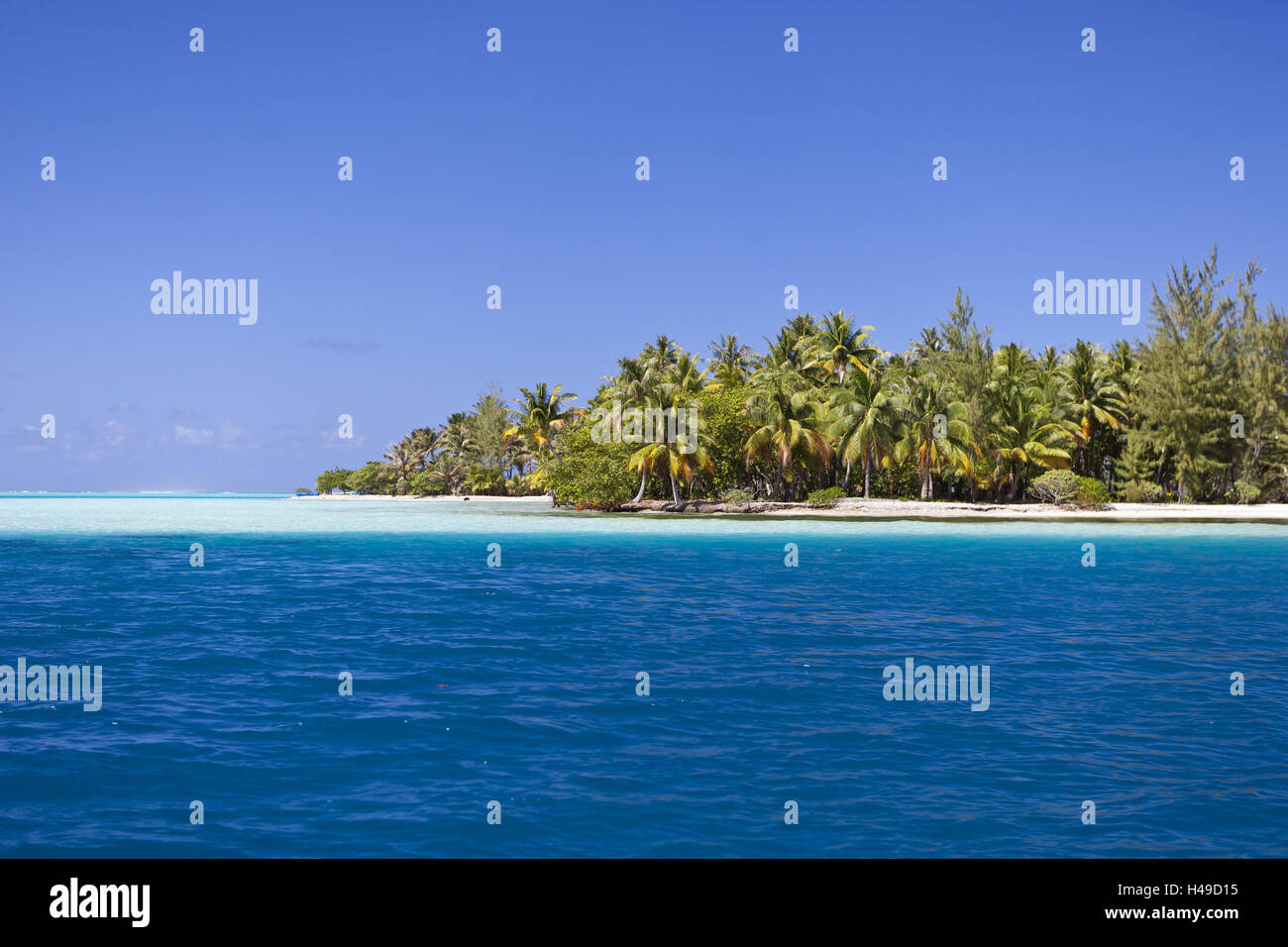 The Pacific Ocean, French Polynesia, island Huahine, palms, the Society ...