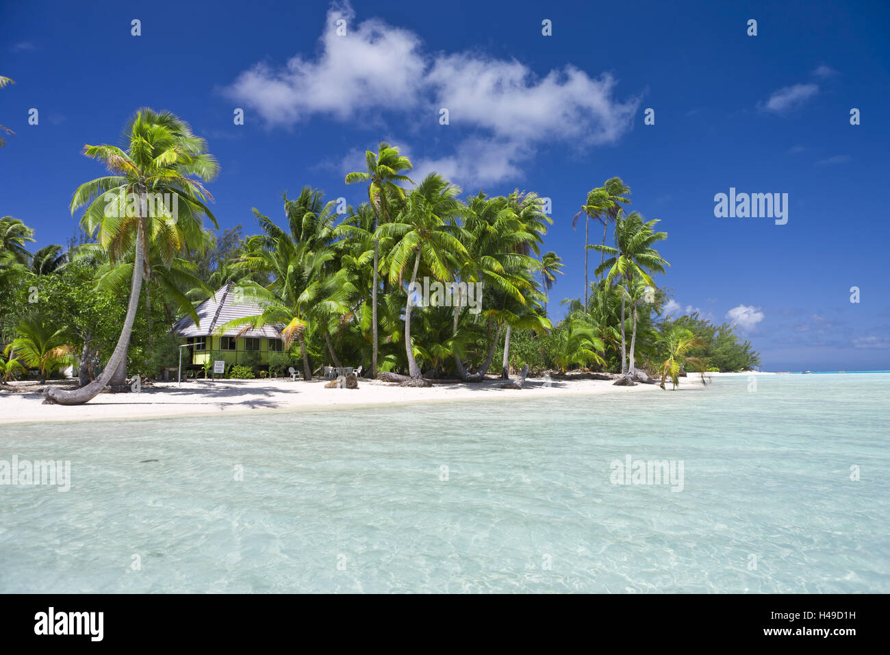 French Polynesia, island Bora Bora, house, palms, scenery, island ...