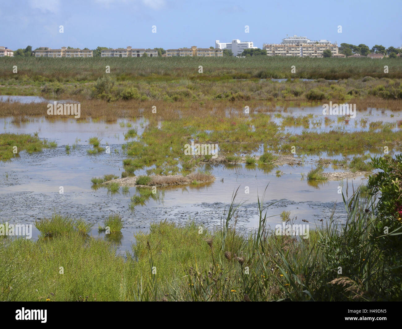Nature reserve Albufera, houses of port d'Alcudia in the background ...