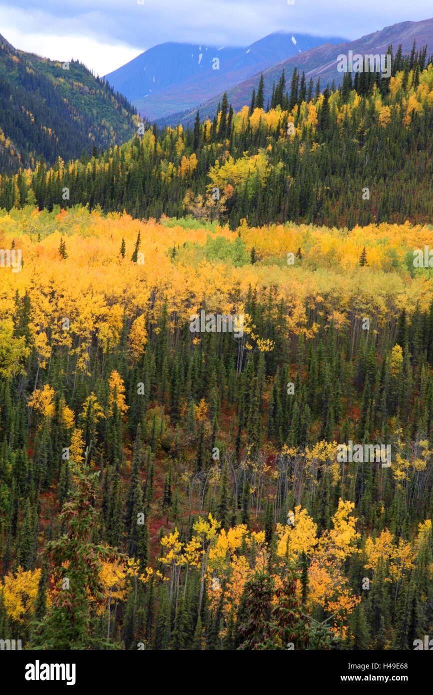 Autumn denali hi-res stock photography and images - Alamy