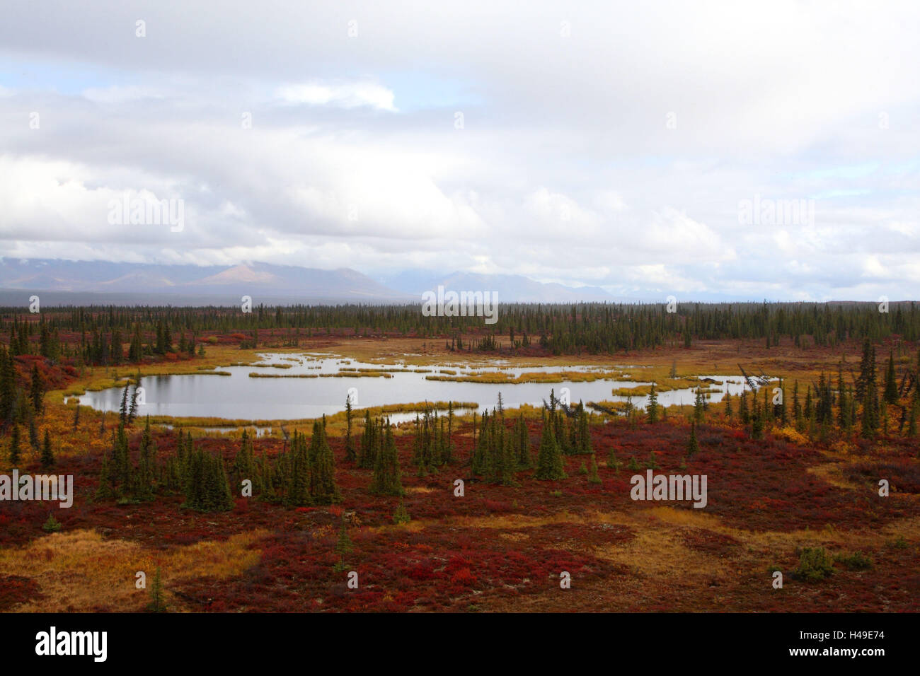 Alaska tundra hi-res stock photography and images - Alamy
