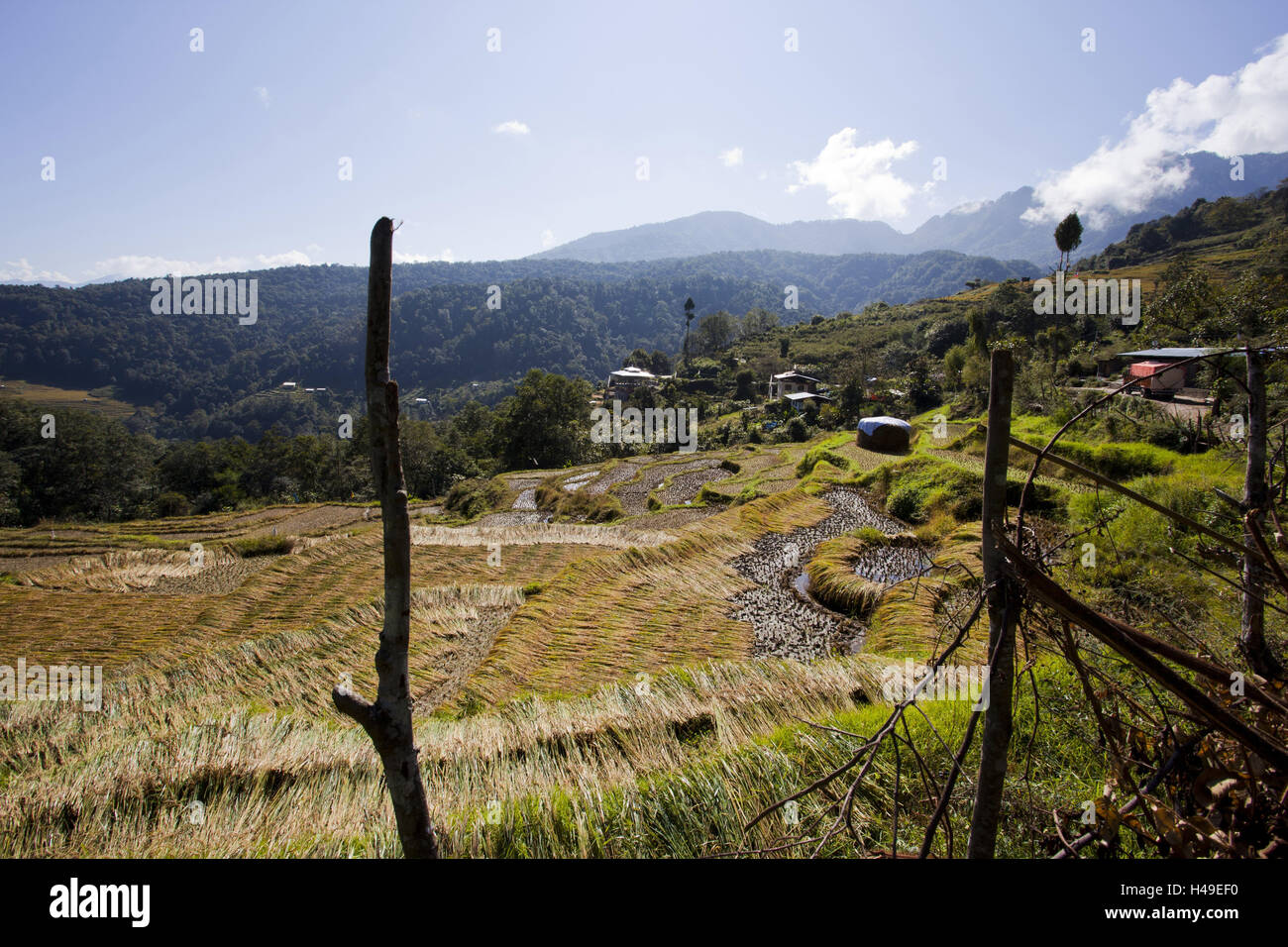 Kingdom Bhutan, scenery in the Phobjikha valley Stock Photo - Alamy