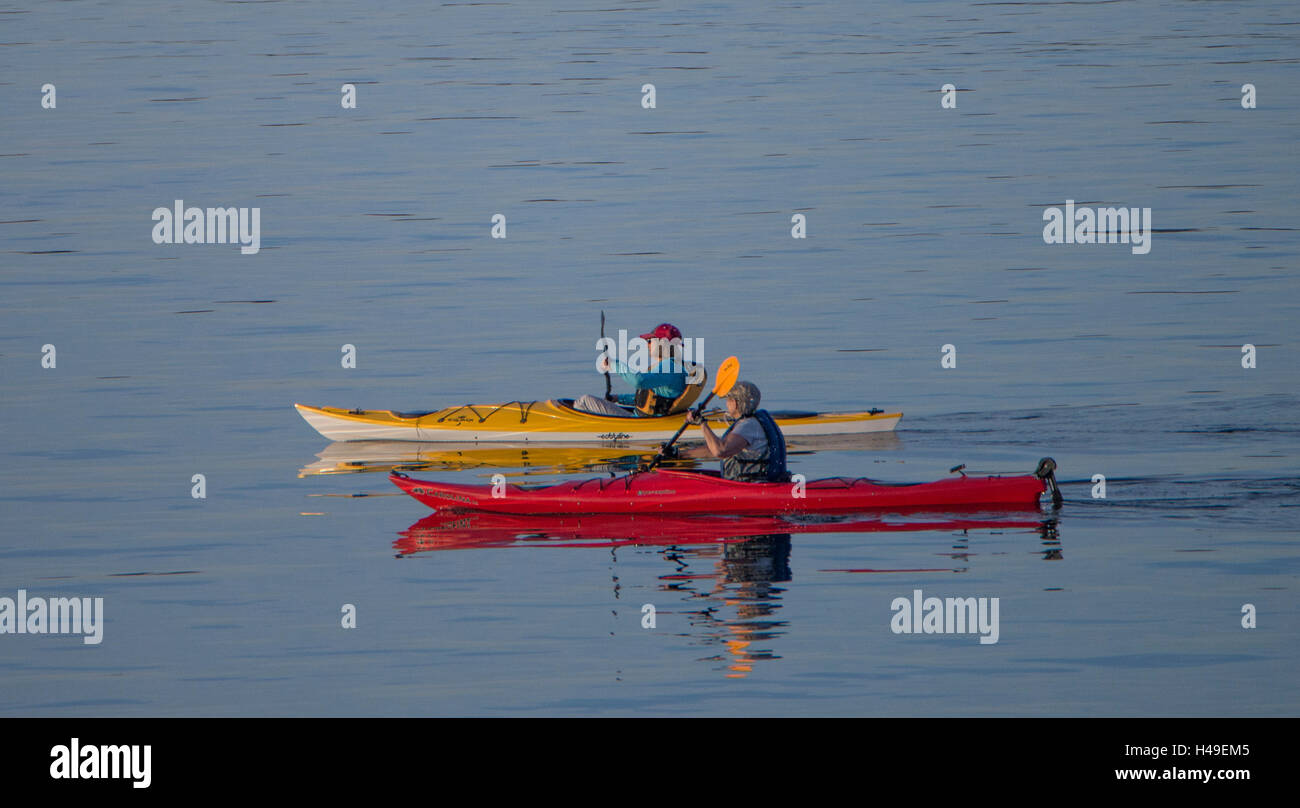 People Sea Kayaking on the Puget Sound, State of Washington, USA Stock ...